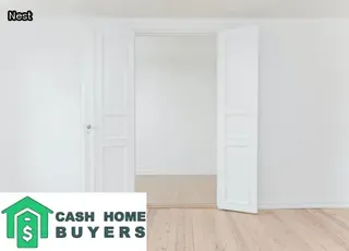 House Termite Nest. Termite Nest In House