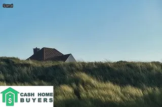 What Are Termite Droppings. Termite Droppings