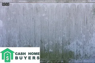 What Makes A House Unlivable. What Happens When A House Is Deemed ...