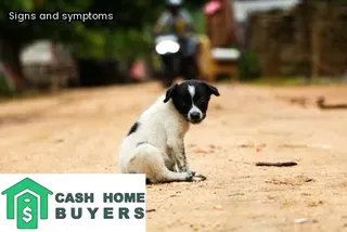 Can Fire Smoke Cause Allergies. Fire Smoke Allergies