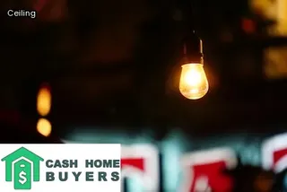 Termite Tubes From Ceiling. Termite Tubes Ceiling